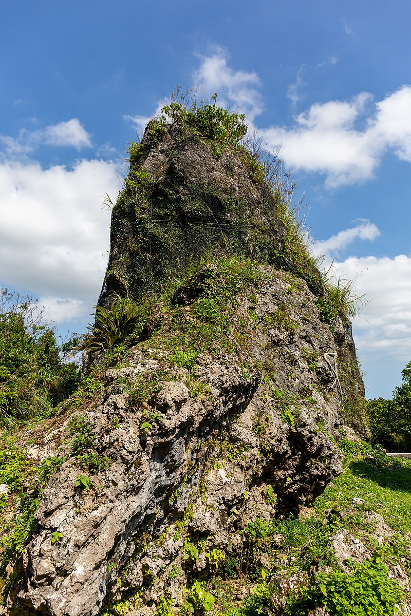 Faith and Patriotism in Hacksaw Ridge, by Titus Techera – Brown Pelican ...